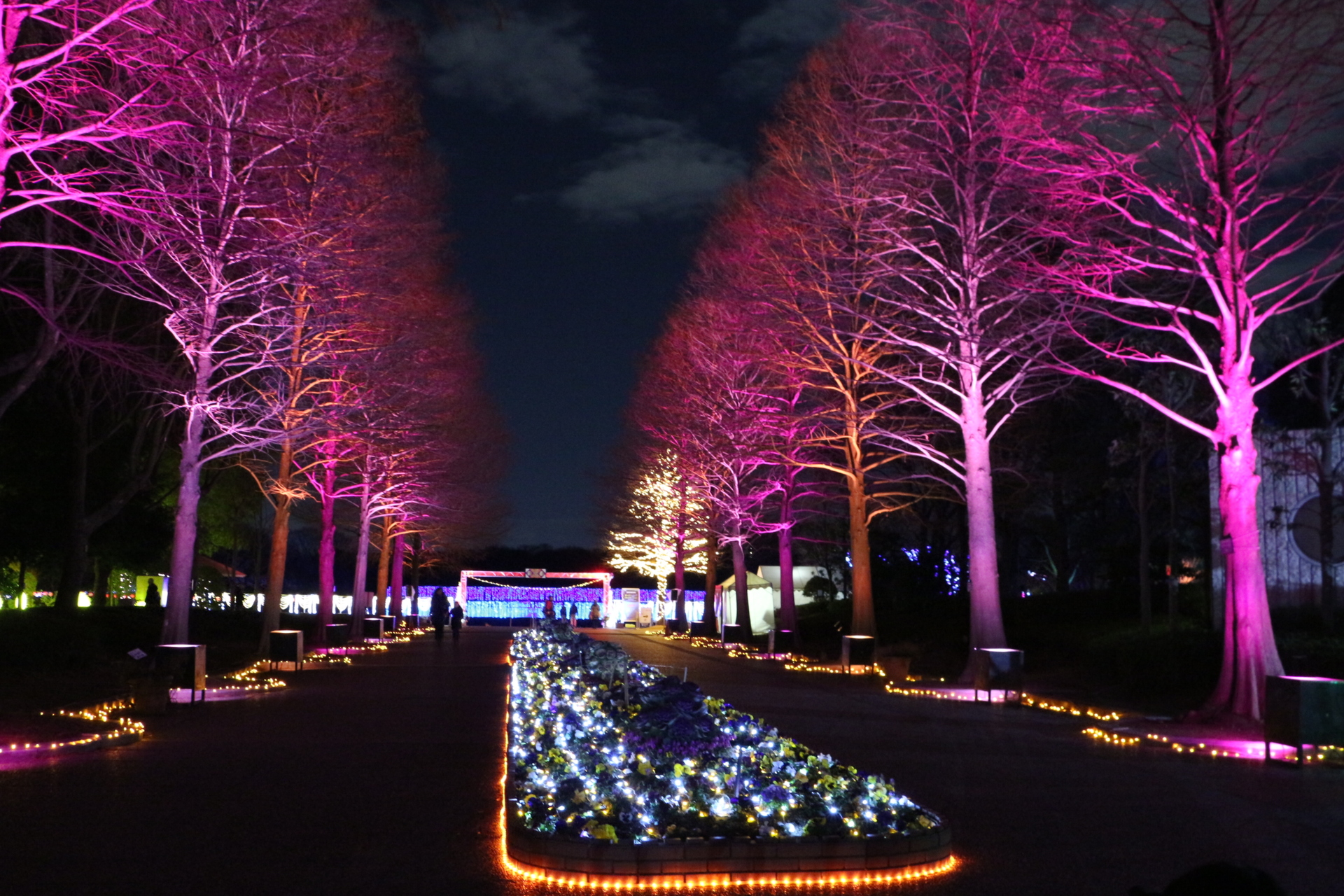 大阪のイルミネーション情報。2015-2016年特集！ - JPTRP.COM