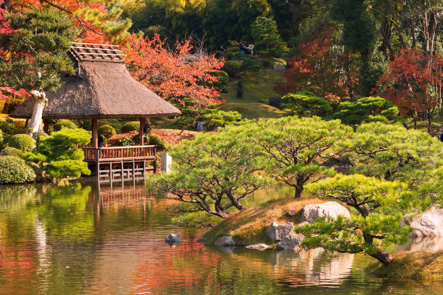 縮景園でゆったりと過ごす1日。四季折々の表情を楽しもう！ - JPTRP.COM